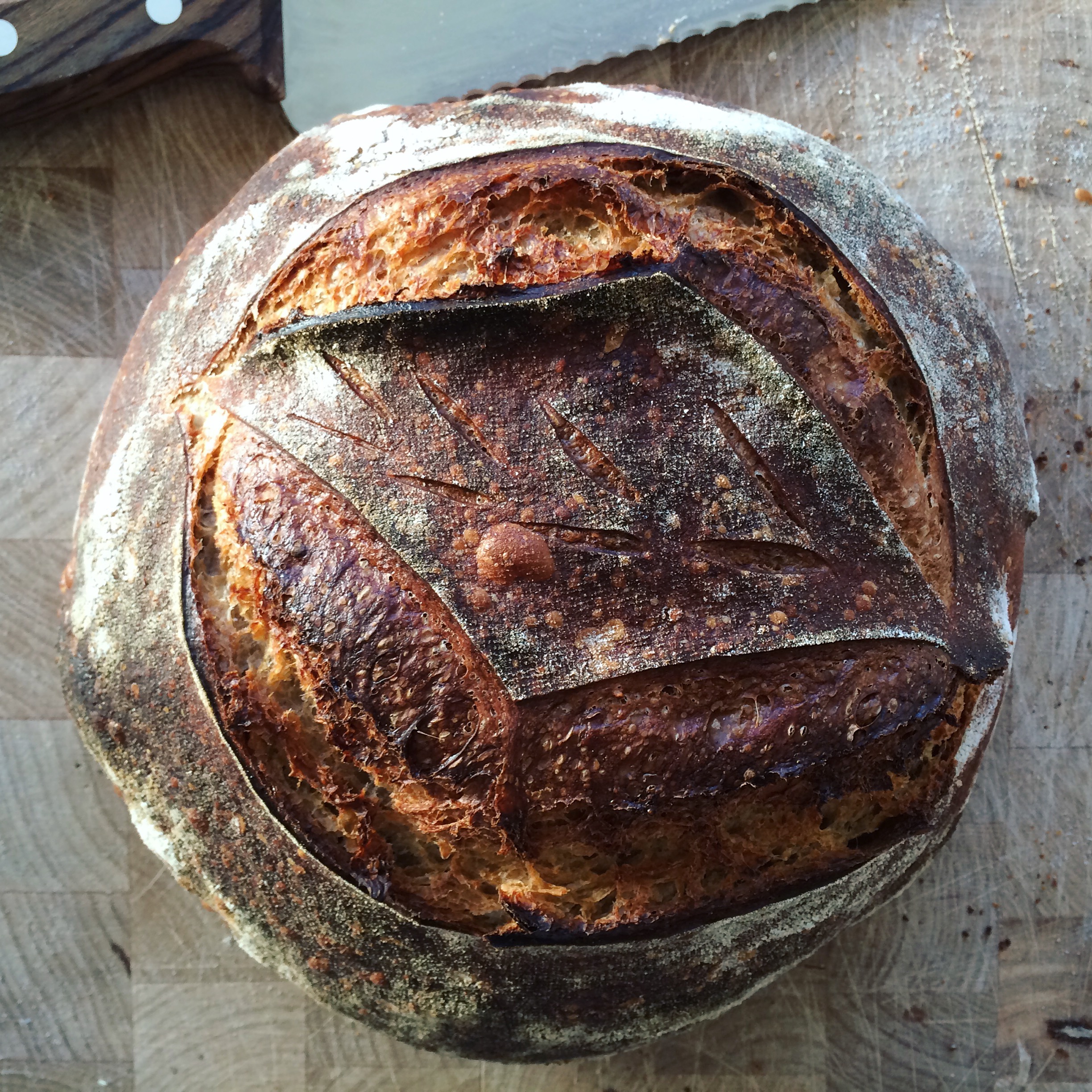 Guide: Unleashing the full potential of your bakes – Part 2(2) – Bread ...