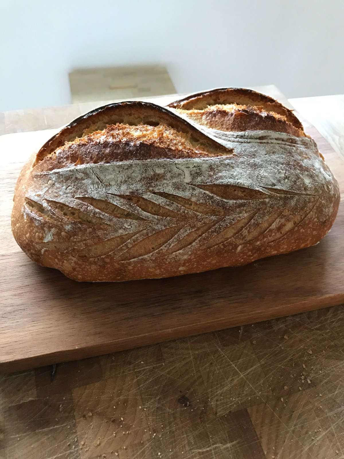 Guide: Unleashing the full potential of your bakes – Part 2(2) – Bread ...